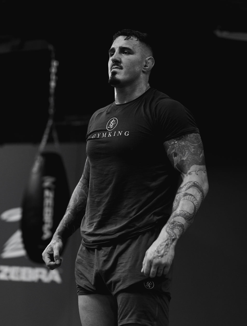 About Us – Gym King